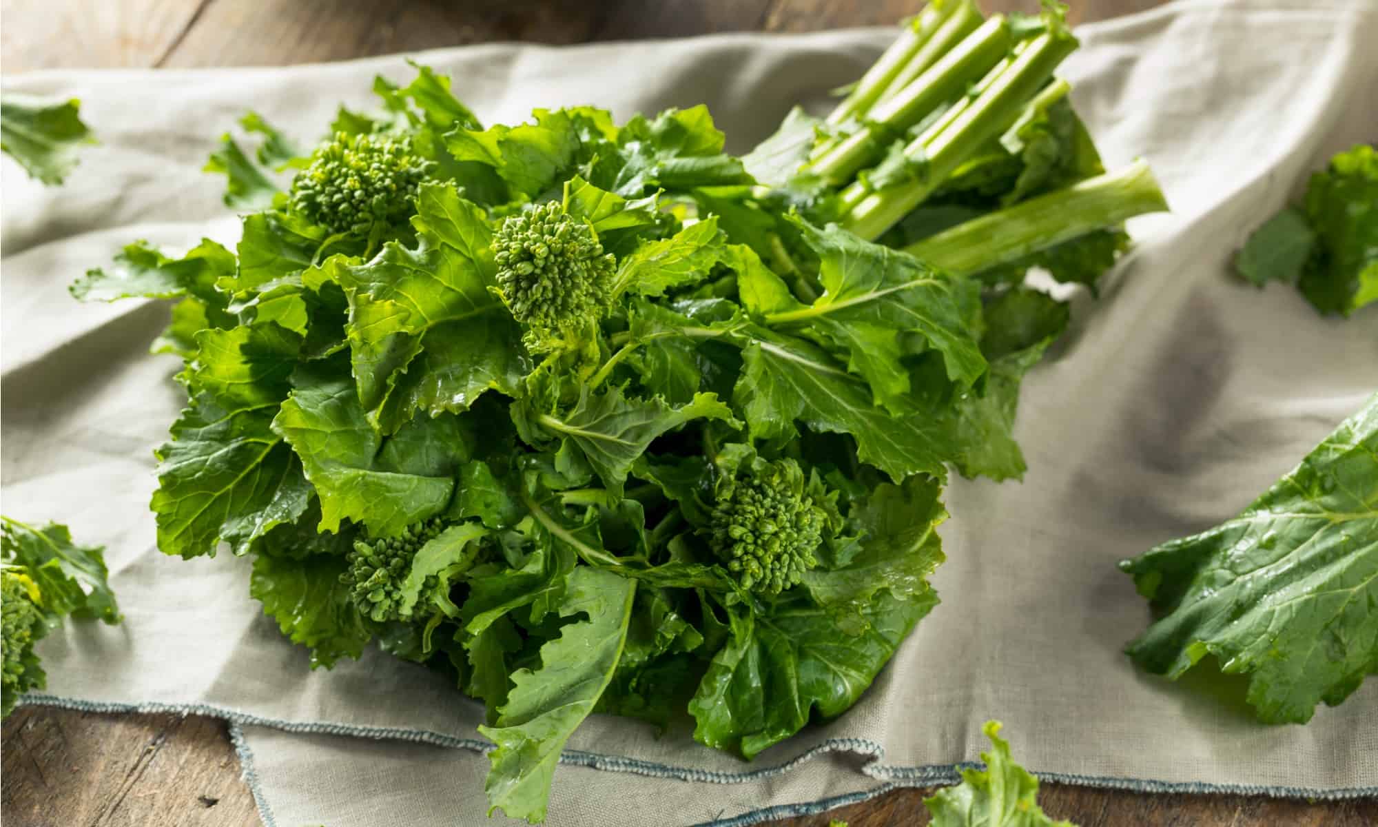 Broccolini vs Broccoli Rabe: 5 differenze chiave